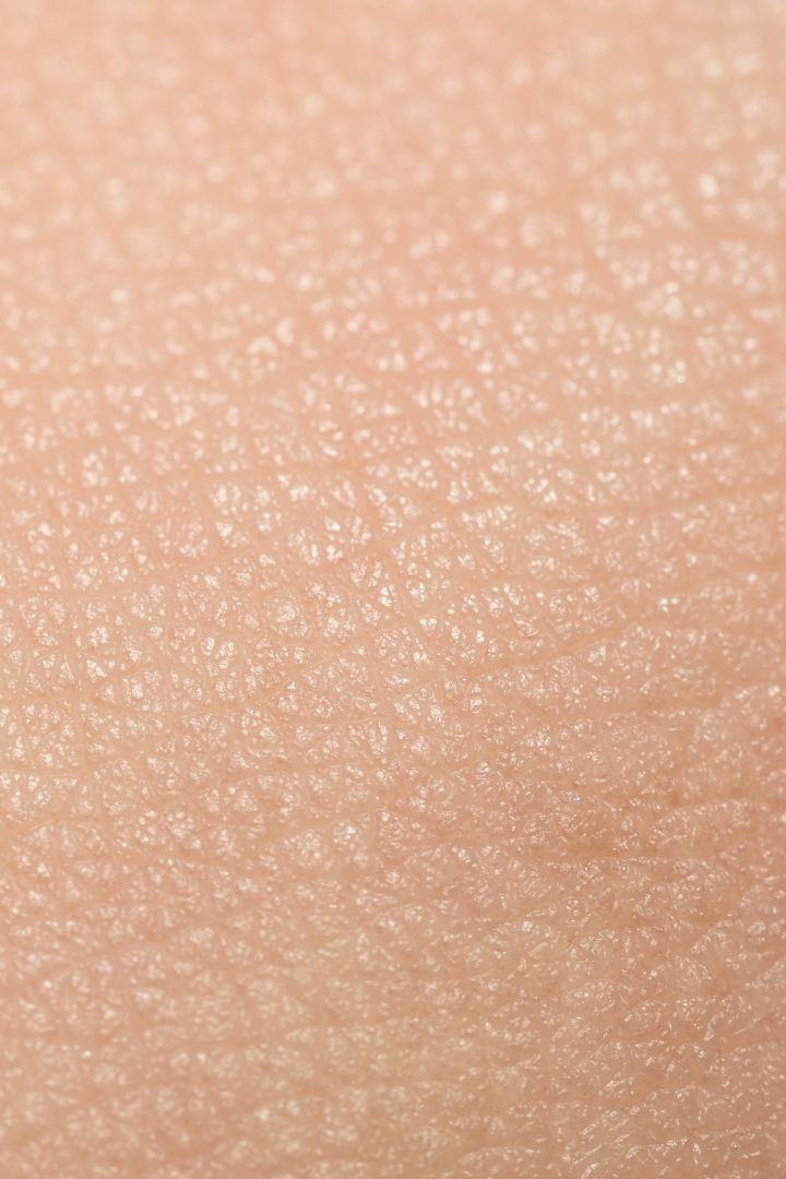 Stop the itch with Nutritionist Jessica Gilljam Brown – Tailor Skincare